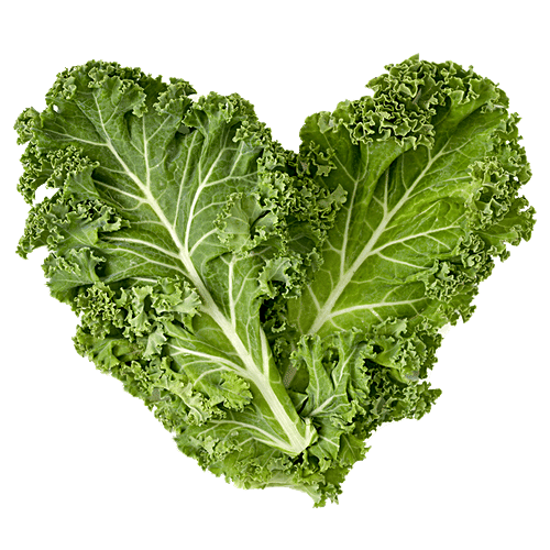 Buy fresho! Kale - Curly Blue, Hydroponically Grown Online at Best ...