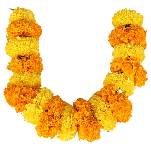 Buy Hoovu Fresh Marigold String Online at Best Price of Rs 85.71 ...