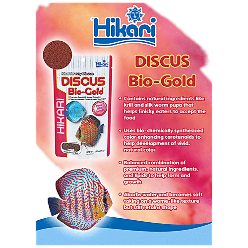 Buy Hikari Discus Bio-Gold Sinking Fish Food Online at Best Price of Rs ...