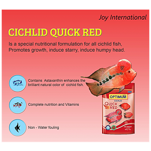 Buy Optimum Cichlid Quick Red Fish Food - Small Pellet Online at Best ...