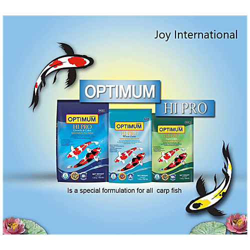 Buy Optimum Hi Pro Super Color Specialists Medium Pellet Koi Fish Food ...