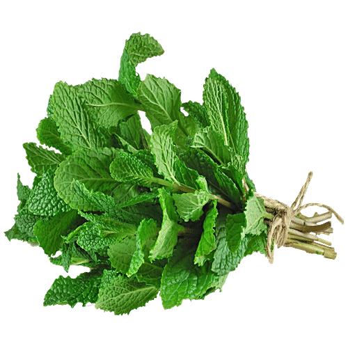 Buy fresho! Mint - Hydroponically Grown Online at Best Price of Rs 17 ...