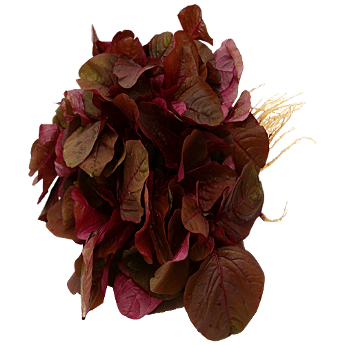 Buy fresho! Red Amaranth - Hydroponically Grown Online at Best Price of ...