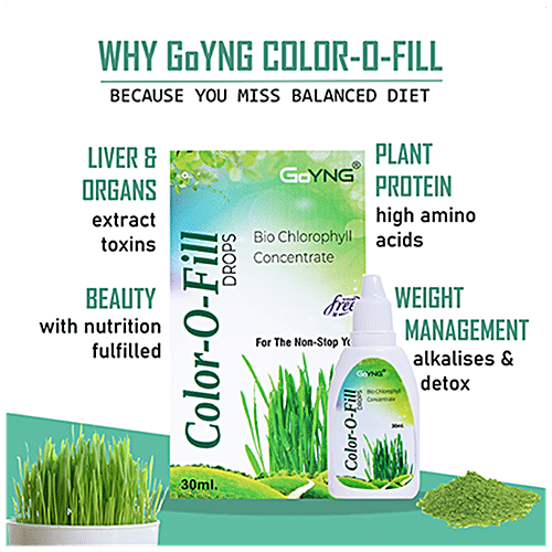Buy GoYNG Color-O-Fill Drops - Bio Chlorophyll Concentrate Online at ...