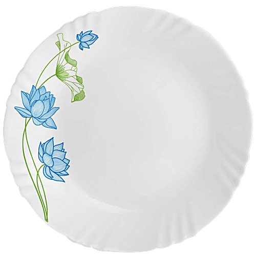 Buy Cello Opalware Dinner Plates - Neelkamal, Dia-11 Inches Online at ...