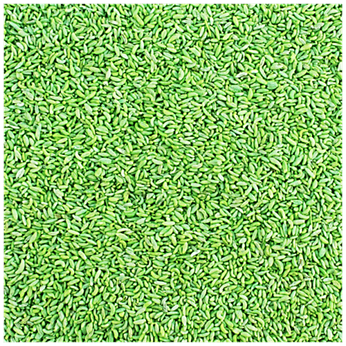 Buy Tummy Pops Green Sweet Sauf Online at Best Price of Rs 223.20 ...