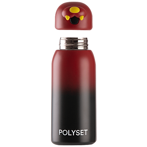 Buy Polyset Peeko Stainless Steel Double Walled Vacuum Insulated Bottle ...