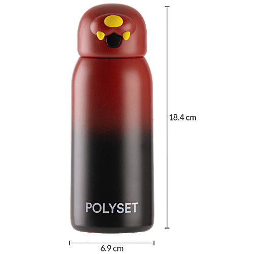 Buy Polyset Peeko Stainless Steel Double Walled Vacuum Insulated Bottle ...