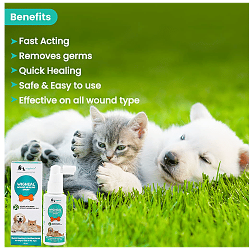Buy Wiggles.in Wigheal Wound Healing Spray - For Dogs & Cats, Infection ...