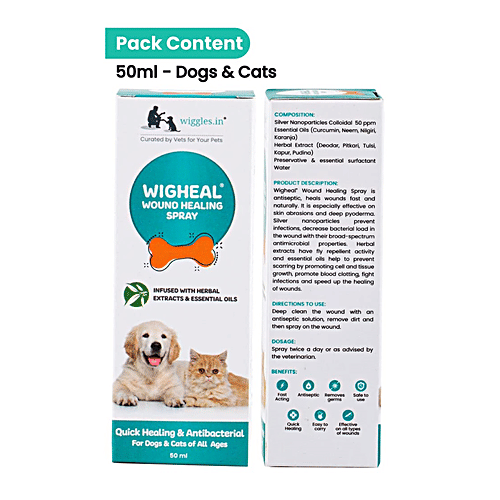 How To Help Dogs Wounds Heal Faster