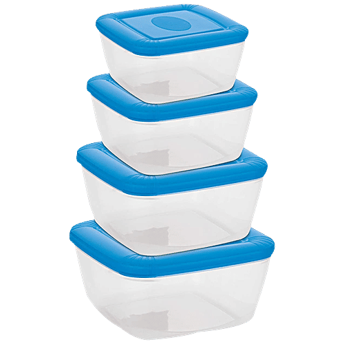 Buy Asian Flora Dryfruit Plastic Dabba/Container Set - BPA-Free, Blue ...