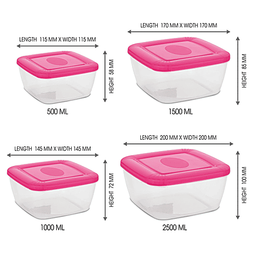 Buy Asian Flora Dryfruit Plastic Dabba/Container Set - BPA-Free, Pink ...
