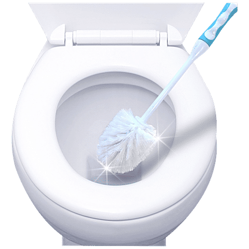 Mr Gleam Toilet Brush Set - Long Handle, Nylon, 1 pc