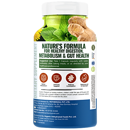 Buy Nature Life Nutrition Plant Based Digestive Care Dietary Supplement ...