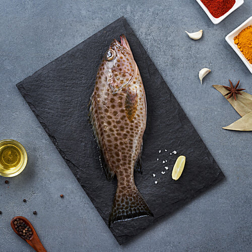 Buy Fresho Reef Cod/Grouper Fish - Curry Cut Online at Best Price of Rs ...