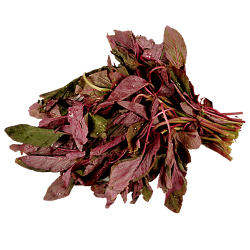 Buy fresho! Red Cabbage - Hydroponically Grown Online at Best Price of ...