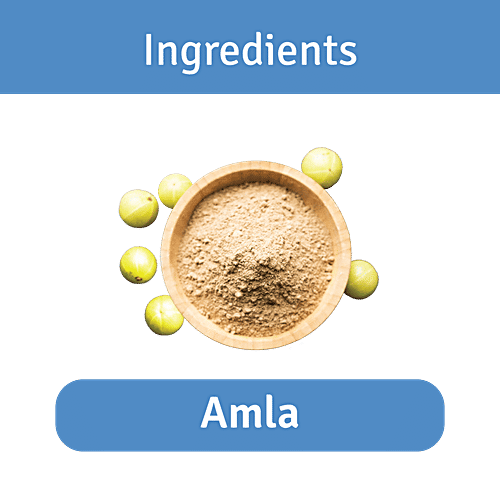 Buy Jus Amazin Organic Amla Powder - Rich in Vitamin C & Anti-Oxidants ...