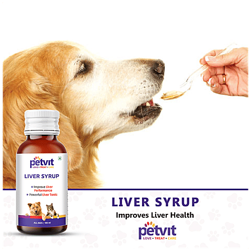 Buy Petvit Liver Syrup - Improve Liver Performance, For All Age Dogs ...