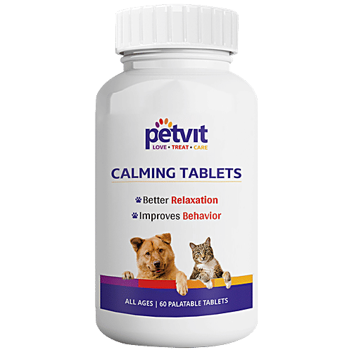 Do Dogs Get Calmer As They Age