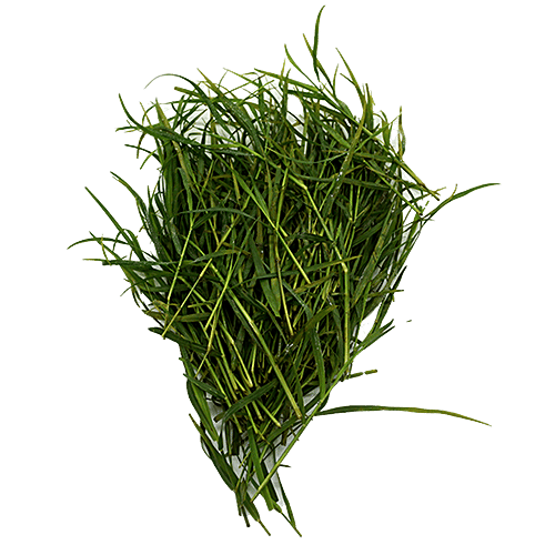 Buy Fresho Durva Grass/Garike - Used To Decorate, For Festivals & Puja ...