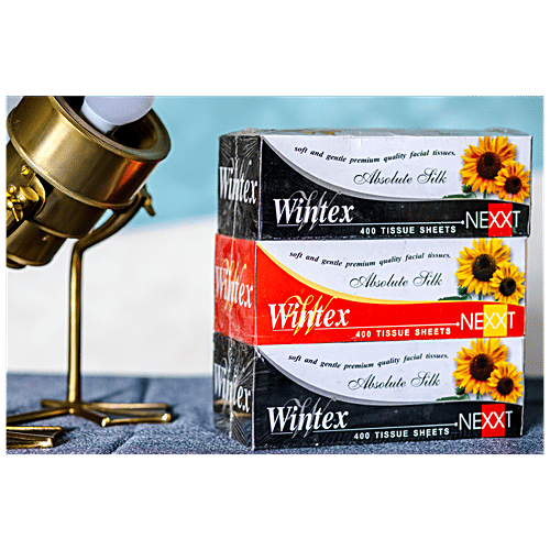 Buy Wintex Absolute Silk Facial Tissues - 2 Ply Online at Best Price of ...