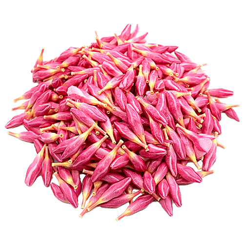 Buy fresho! kanagale/Oleander Flower - Used To Decorate For Festivals ...