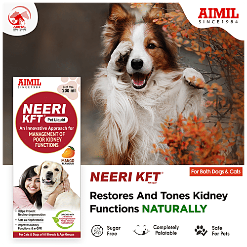 Buy AIMIL Neeri KFT Pet Liquid - Relieves Kidney Inflammation, Improves ...