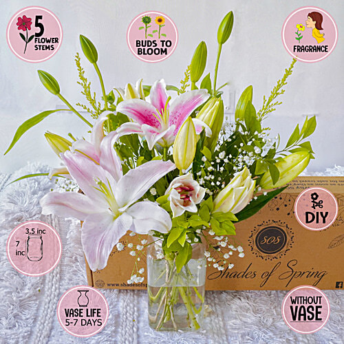 Buy Shades of Spring Fragrant Lily Flower Box - Without Vase, Farm ...