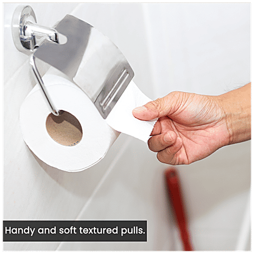 Buy Scott Toilet Rolsl - 2 Ply, 100% Virgin Pulp, Highly Absorbent ...