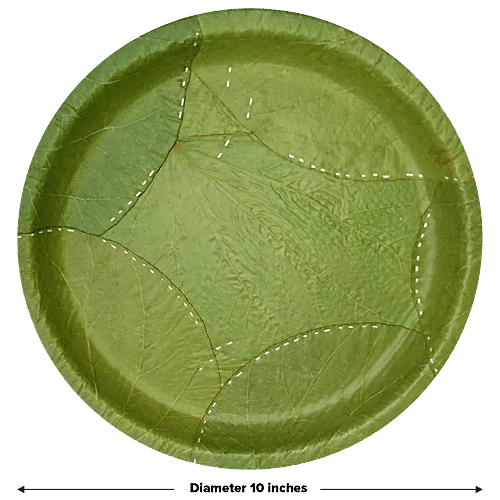 Buy BB Home Earth Natural Disposable Plates - 25.4 cms, Siali Leaf ...