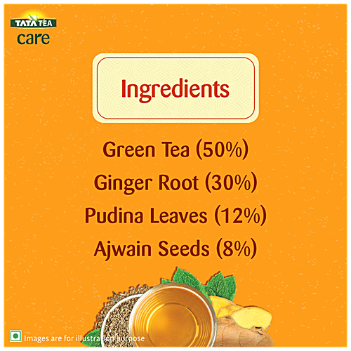 Buy Tata Tea Care Digest Herbal Infusion Green Tea - With Pudina ...