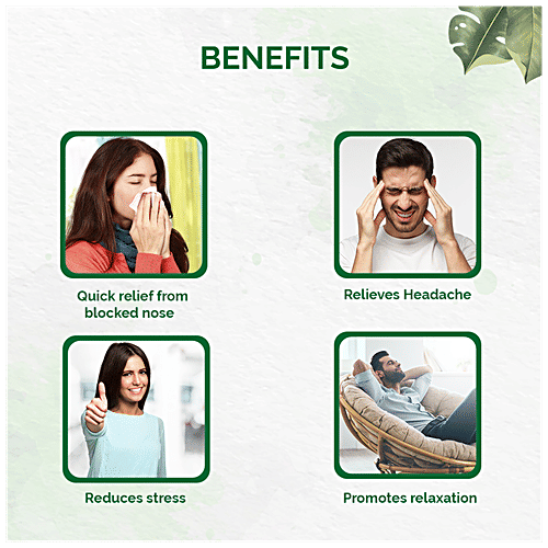 Buy Dr. Vaidya's Inhalant - Camphor & Eucalyptus, Provides Relief From ...