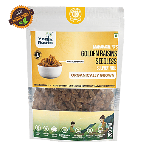 Buy Yogik Roots Maharashtra's Golden Raisins - Seedless, Organic ...