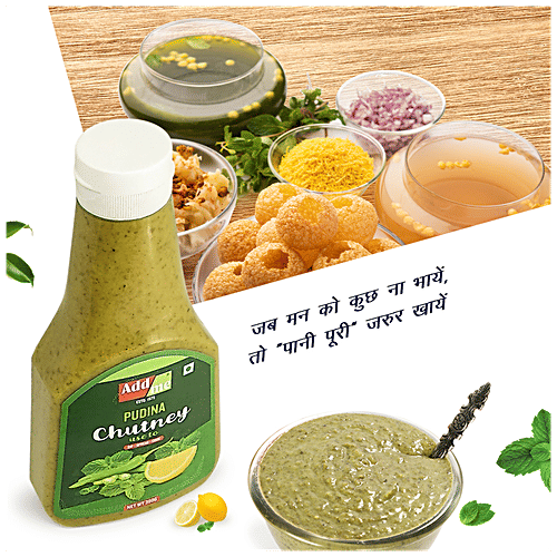 Buy Add Me Pudina/Mint Chutney - Handmade, Original Recipe, For Dip ...