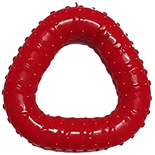 Buy First Pet Natural Rubber Triangle Toy - Chew Toy For Teething ...