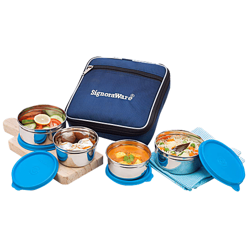 Buy Signoraware Fresh Steel Lunch Box Set - Leakproof Online at Best ...