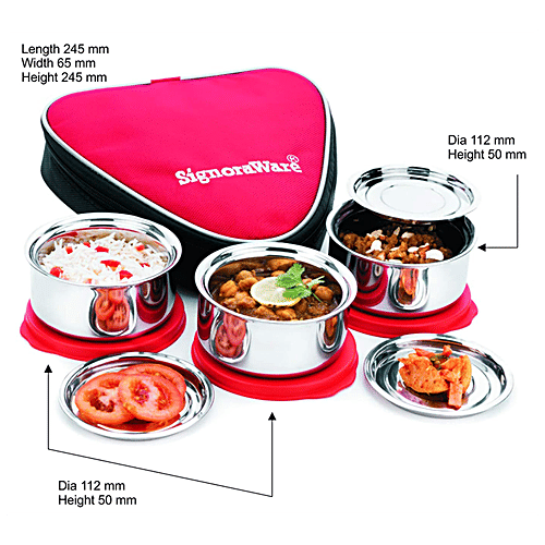 Buy Signoraware Sleek Double Wall/Twin Wall Medium Steel Lunch Box With ...