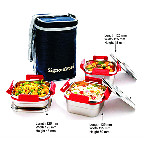 Buy Signoraware Director Squarex Steel Lunch Box Set With Lid & Bag ...