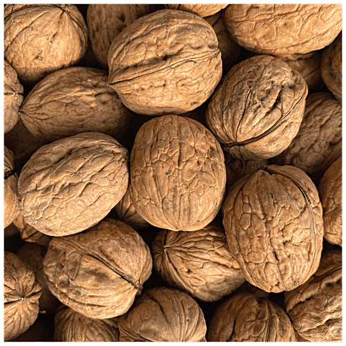 Buy Sindhi Akhrot Sabut/Walnuts With Shells - Rich In Antioxidants ...