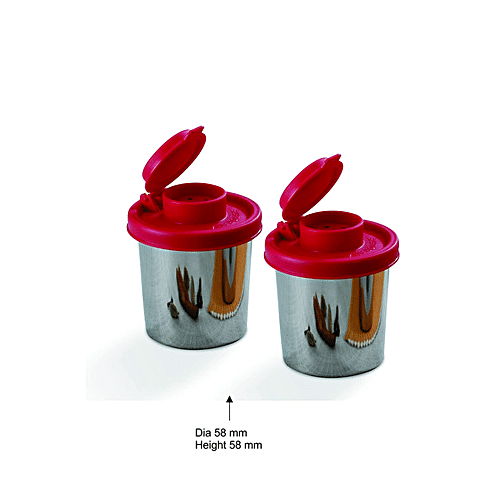 Buy Signoraware Stainless Steel Spice Shaker Container - Medium, High ...