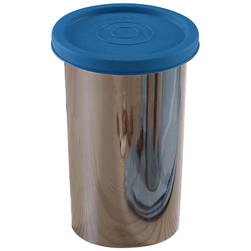 Buy Signoraware Nano Stainless Steel Container - Airtight, Big, Blue ...
