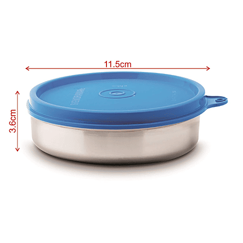 Buy Signoraware Executive Steel Container - Airtight, Small Online at ...