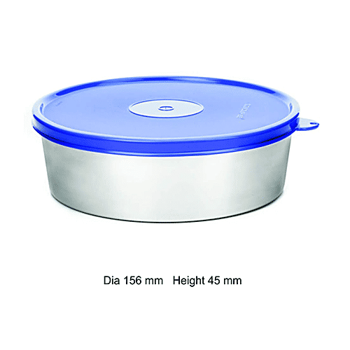 Buy Signoraware Classic Stainless Steel Container - High Quality, Blue ...
