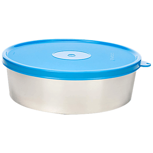 Buy Signoraware Classic Stainless Steel Container - High Quality, Blue ...