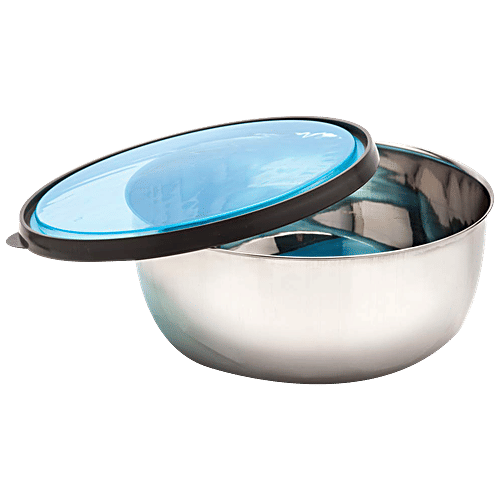 Buy Signoraware Elegant Steel Container - High Quality, Airtight Online ...