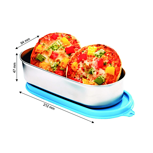 Buy Signoraware Oval Steel Container With Lid - High Quality, Blue ...