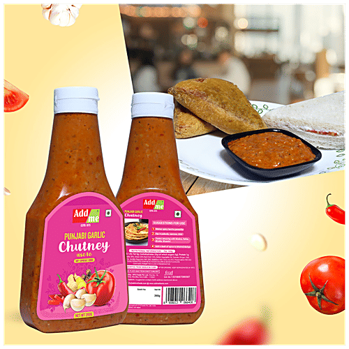 Buy Add Me Punjabi Garlic Chutney - Handmade, Healthy, For Dipping ...