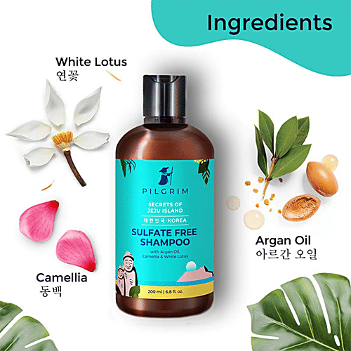 Buy PILGRIM Sulphate Free Shampoo With Argan Oil - For Dry, Frizzy Hair ...