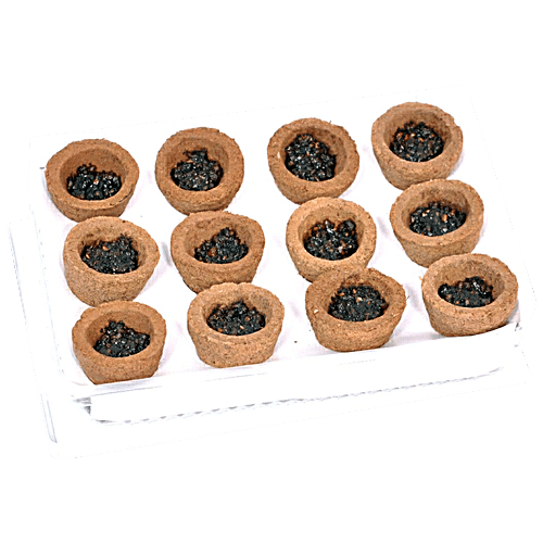 Buy Pooja Sewa Rose Sambrani Cups - Pure Gaumay, All Natural With Stand ...