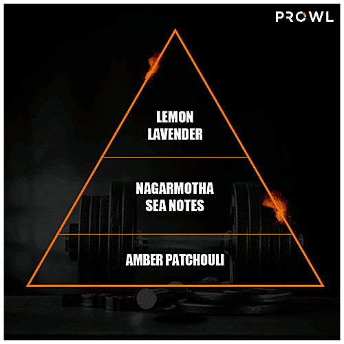 Buy Prowl By Tiger Shroff Rush - Perfume Body Spray, Long-lasting ...